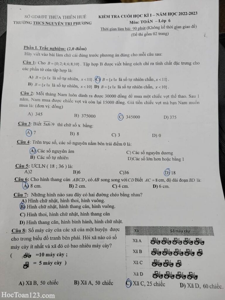 Đề thi HK1 môn Toán 6 THCS Nguyễn Tri Phương 2022-2023